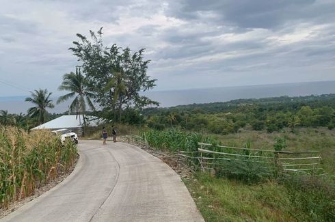 SEA VIEW LOT witht 5000 sqm 7.5 Million pesos Elevates Luxury Living in ...