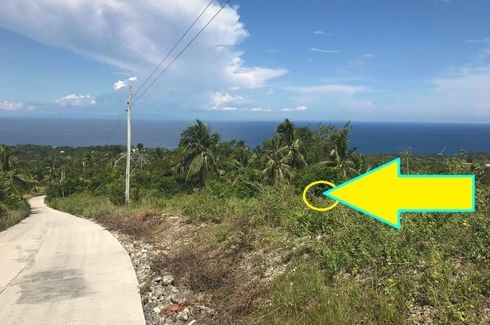 PANORAMIC SEAVIEW LOT 300sqm. at 630K ATABAY ALCOY CEBU PHILIPPINES 📌 ...