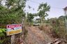 Rosario Batangas 1.4 hectares Mahogany Farm, Piggery, Poultry near ...