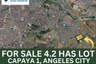4.21 Hectare Lot For Sale Capaya 1 Angeles City Beside Metrogate 📌 Land ...