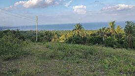 PANORAMIC SEA VIEW LOT 500sqm. at 1.5 MILLION PESOS ATABAY ALCOY CEBU ...