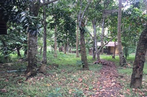 INDANG FARM LOT 📌 Land for sale in Cavite | Dot Property
