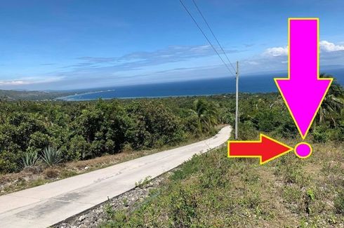 SEA VIEW LOT 200sqm. AT 780,000 PESOS ATABAY ALCOY CEBU PHILIPPINES 📌 ...
