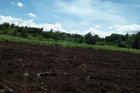 14.7 hectares Farm Lot for Sale in Valencia City, Bukidnon 📌 Land for ...