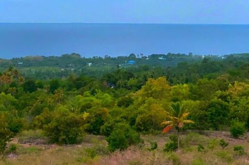 SEA VIEW LOT 1000sqm. AT 1.6 MILLION PESOS ATABAY ALCOY CEBU ...