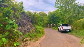 SEA VIEW LOT 1000sqm. AT 1.6 MILLION PESOS ATABAY ALCOY CEBU ...