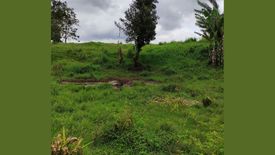 7.3 Hectares Farm Lot for Sale in Lilingayon, Valencia City, Bukidnon 📌 ...