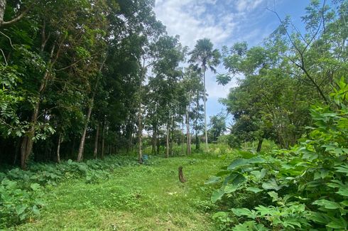 Agricultural Land for Sale, Luksuhin Ibaba, Alfonso Cavite 📌 Land for sale in Cavite | Dot Property