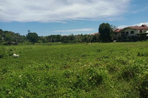 FOR SALE One Hectare Land in Bacayan, Cebu City 📌 Land for sale in Cebu ...