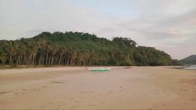 For Sale/Rent/Joint Venture Beach Lot in Dagmay Beach, El Nido, Palawan ...
