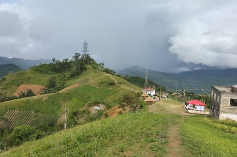 1,329 sqm farm lot for sale in Busay Highlands Sudlon 2 Cebu City 📌 ...