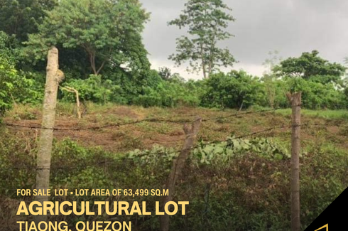 Tiaong Quezon Agricultural Land at Lot Area of 63,499 For Sale 📌 Land ...