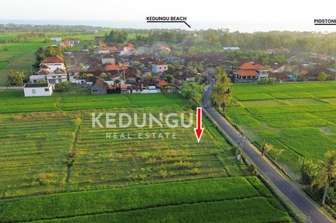 Property for Rent in Indonesia | Dot Property