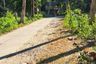 LOT FOR SALE IN TANDAYAG AMLAN 📌 Land for sale in Negros Oriental | Dot ...