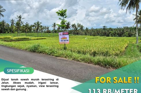 Land in Boyolangu, East Java RP 1.3 billion | Dot Property