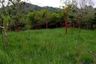 15 Hectare Farm Land for Sale in Dona Remedios Trinidad DRT Bulacan ...