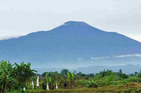 Tanah Dijual dengan di Tambaksogra, Jawa Tengah RP 260,000,000 | Dot ...