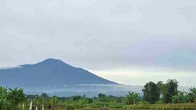 Tanah Dijual dengan di Tambaksogra, Jawa Tengah RP 260,000,000 | Dot ...