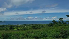 STUNNING LAZI OCEAN VIEW LOTS SIQ0095 📌 Land for sale in Siquijor | Dot ...