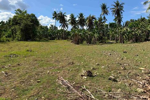Affordable Farmlot For Sale in Tubod Sibonga Cebu 💚 📌 Land for sale in ...