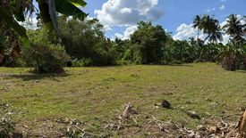 Affordable Farmlot For Sale in Tubod Sibonga Cebu 💚 📌 Land for sale in ...