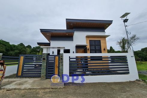 Fully Furnished Modern and Brand New House and Lot for Sale in Babak ...