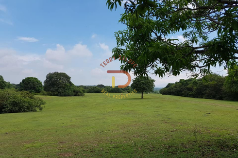 Pugaro, Manaoag, Pangasinan 📌 Land for sale in Pangasinan | Dot Property