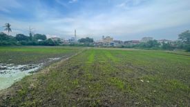 FOR SALE LOTS IN FRONT OF SM CITY BALANGA BATAAN FOR MIXED COMMERCIAL ...