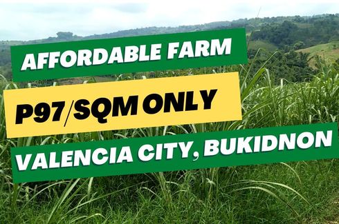 Farm Lot in Valencia City Bukidnon. 3.6 Hectare 📌 Land for sale in ...