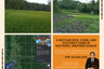 Motiong, Western Samar 📌 Land for sale in Samar | Dot Property