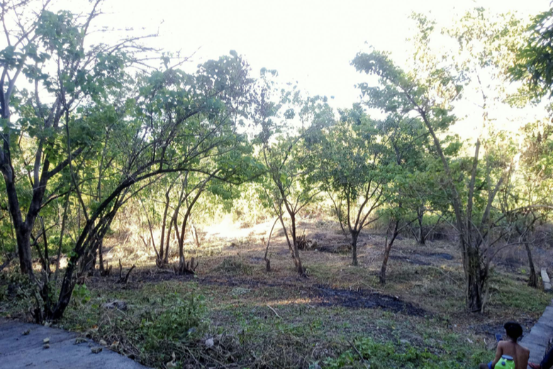 1 Land for sale and rent | Dot Property