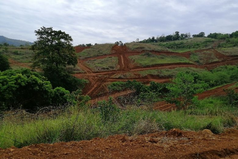 1 Land for sale and rent | Dot Property